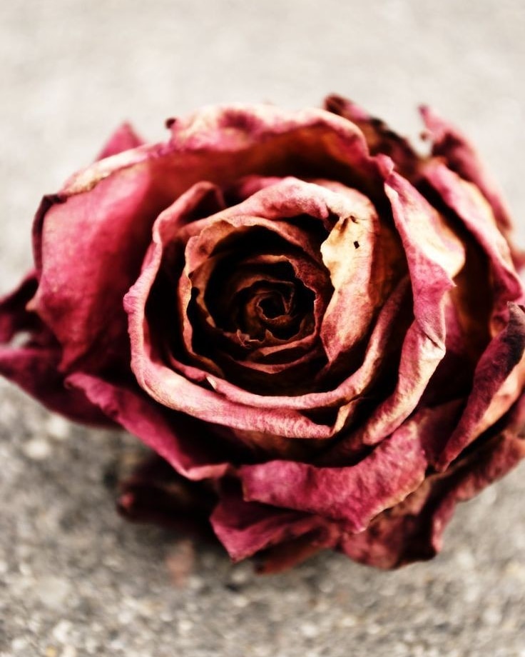 Choosing Single – mamello.art